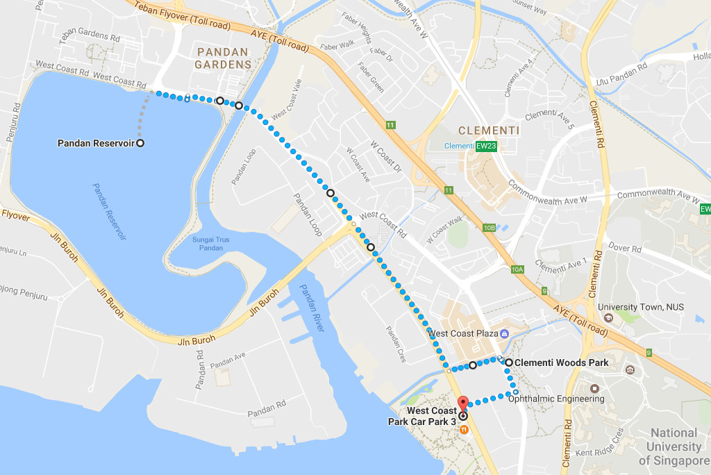 Best Bike Trails for Kids in Singapore: Central, North-west, West, and ...